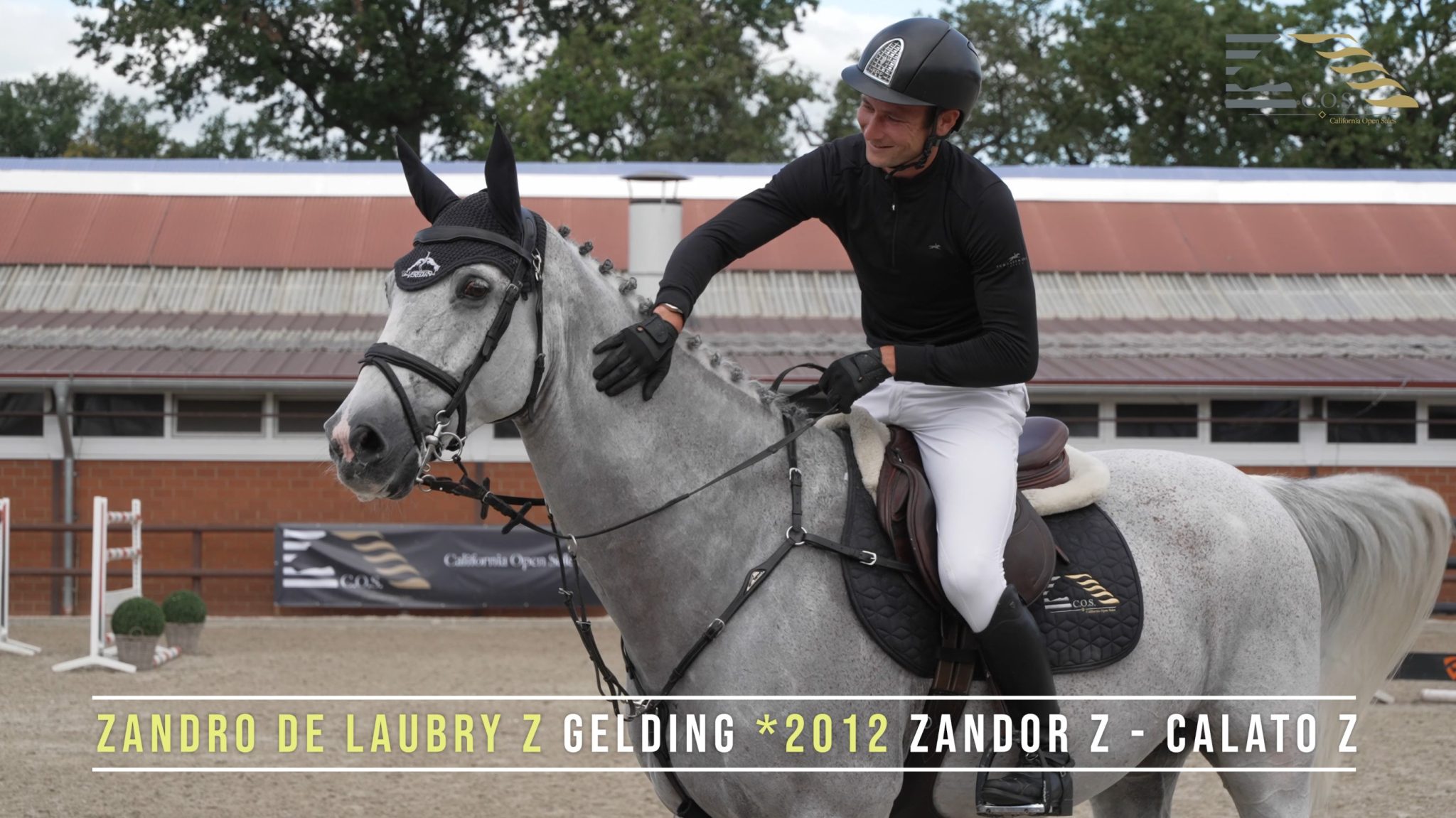 COS Zandro de Laubry Z - Jump Nee